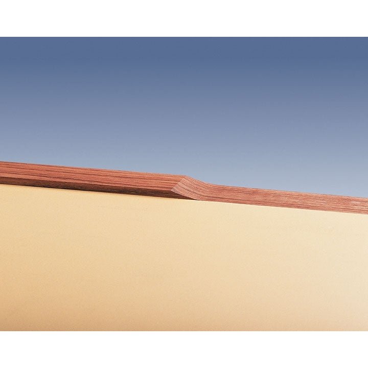 Edge Lipping Planer CE53S – Great Western Saw